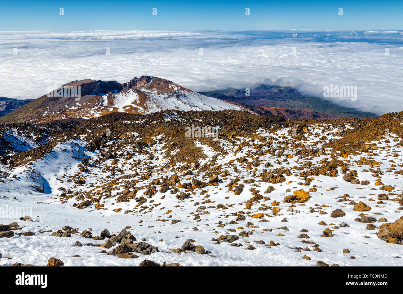 Parque sh hi-res stock photography and images - Alamy