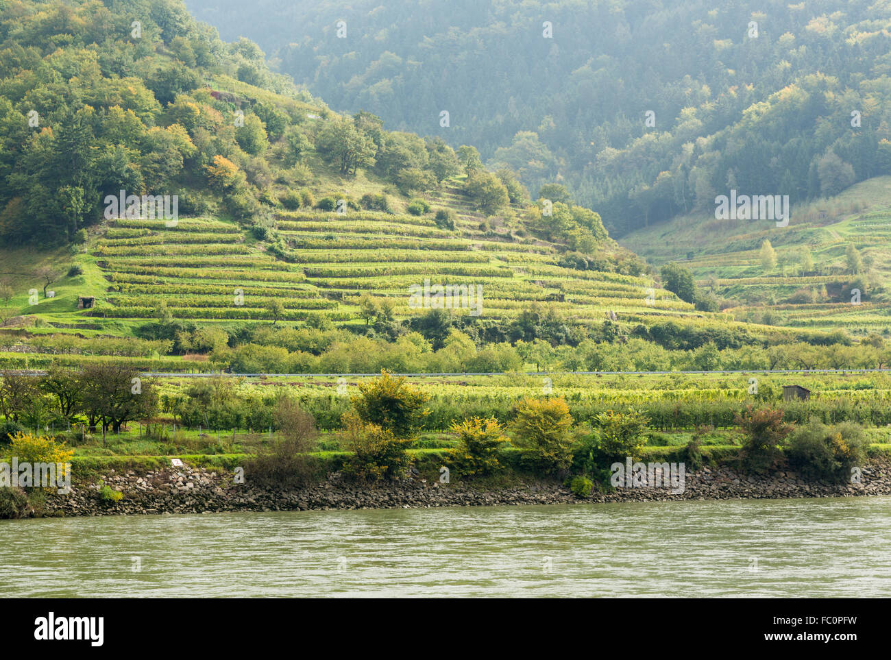 Vineyard pattern hi-res stock photography and images - Alamy