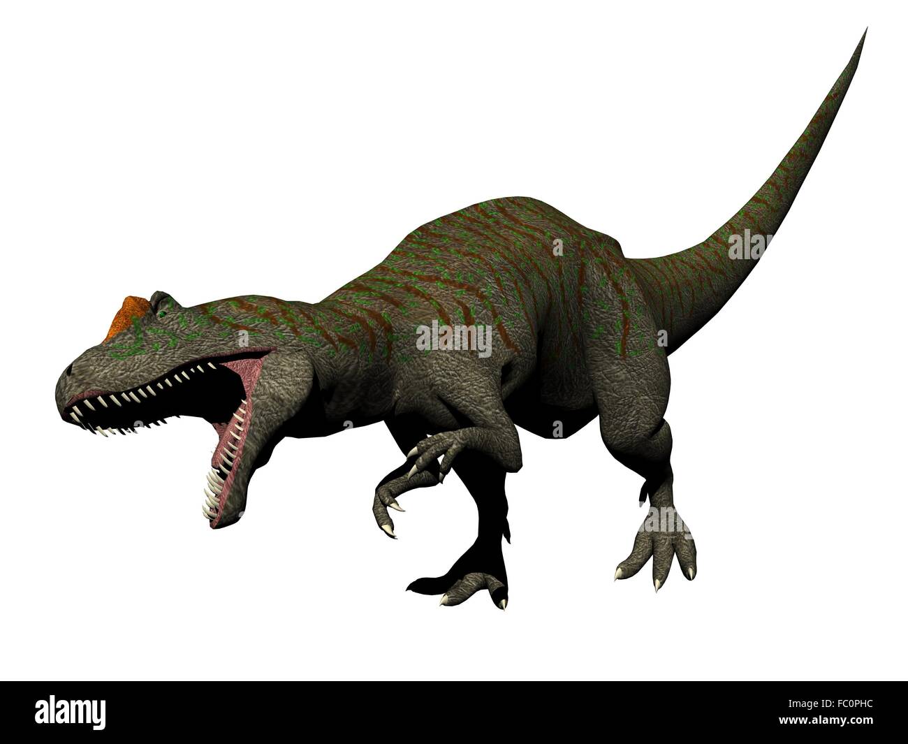allosaurus dinosaur - 3d render Stock Photo - Alamy