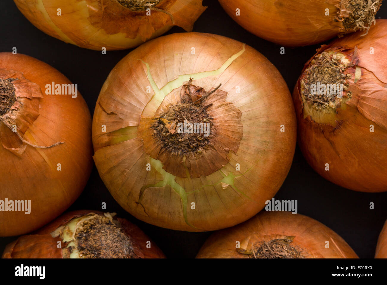 Overhead shot of onions put together as background Stock Photo - Alamy
