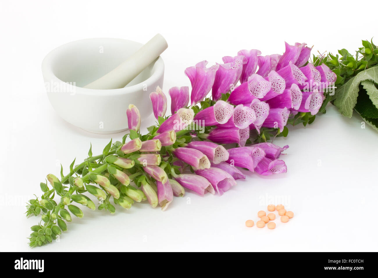 Digitalis with pills Stock Photo - Alamy