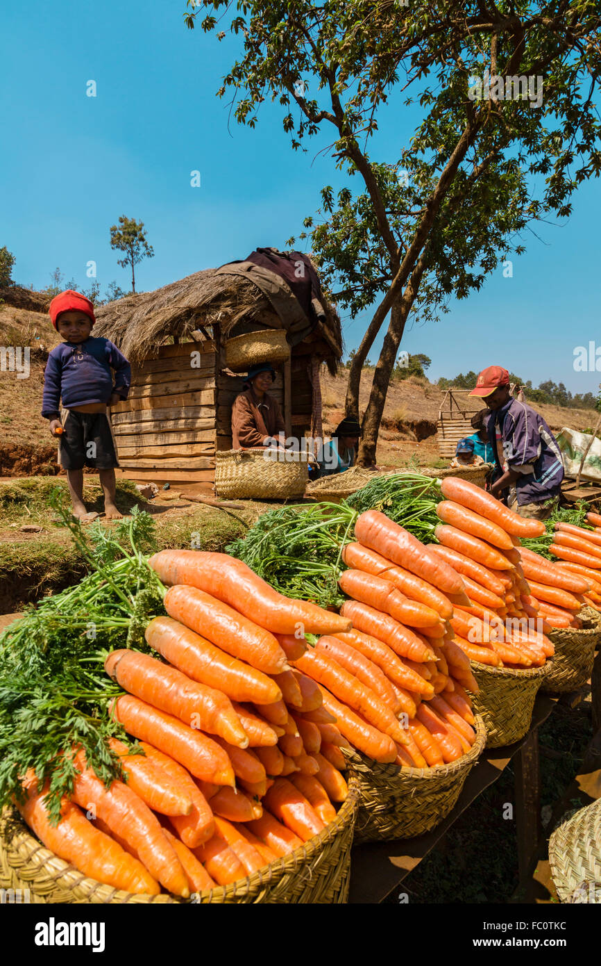 National 7, Carrots sellers,between Antanarivo and Antsirabe ...