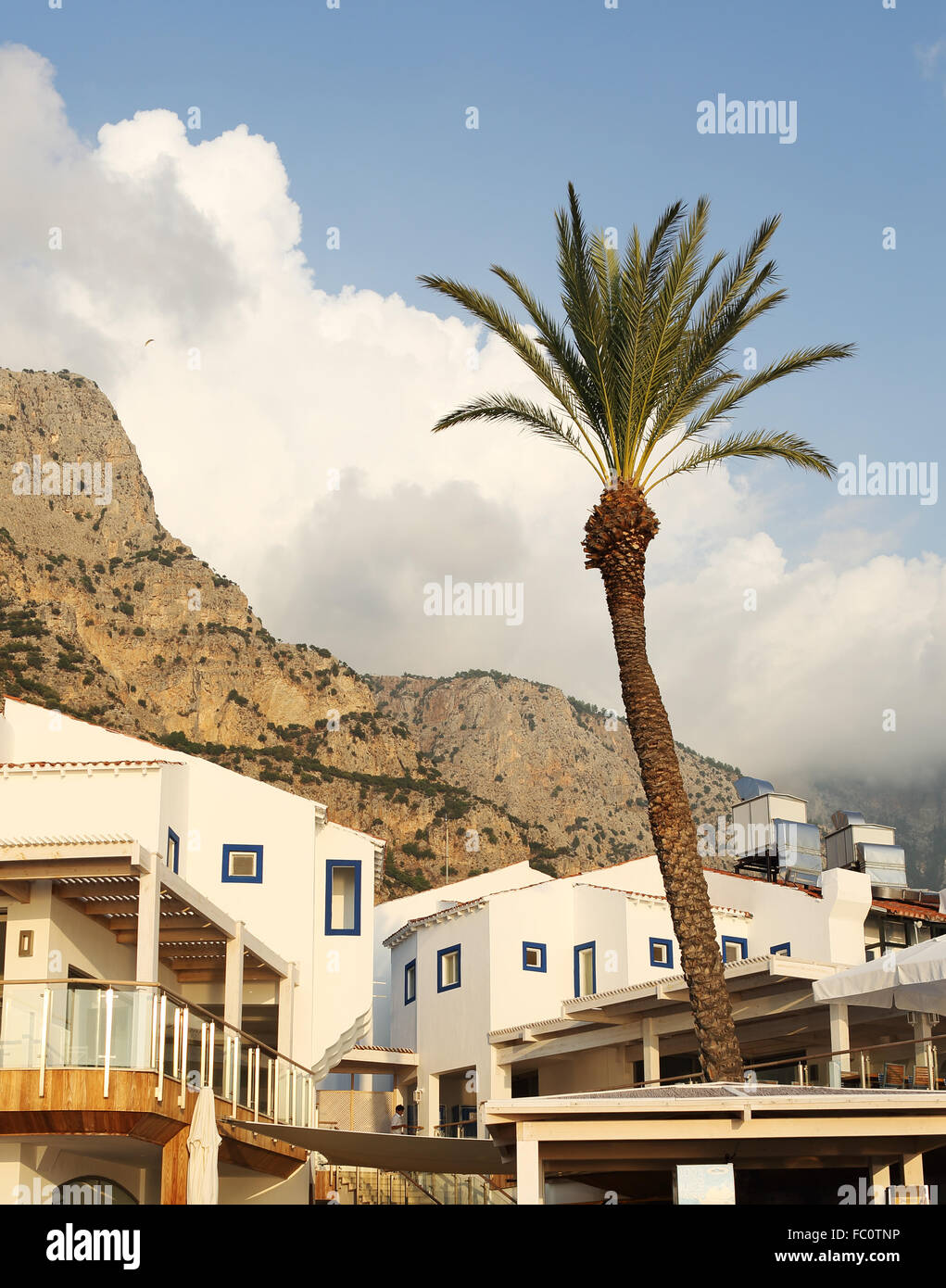 palm in front of house Stock Photo - Alamy