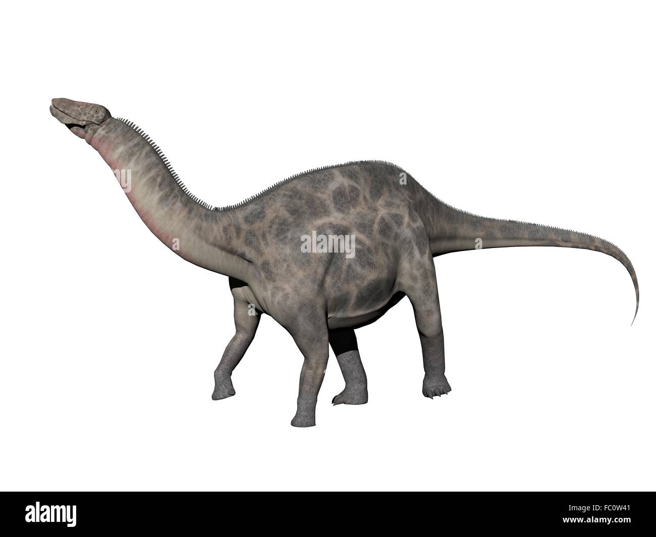 dicraeosaurus dinosaur - 3d render Stock Photo - Alamy