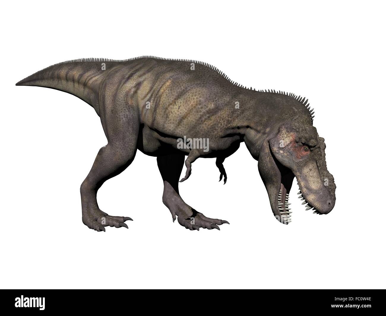 tyrannosaurus dinosaur - 3d render Stock Photo - Alamy