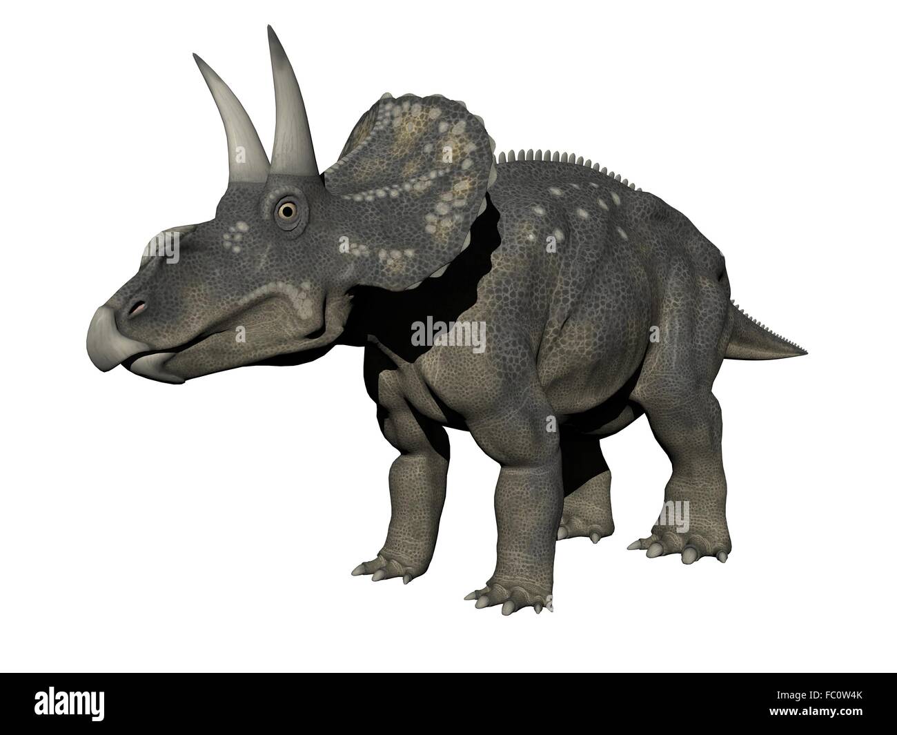 Diceratops
