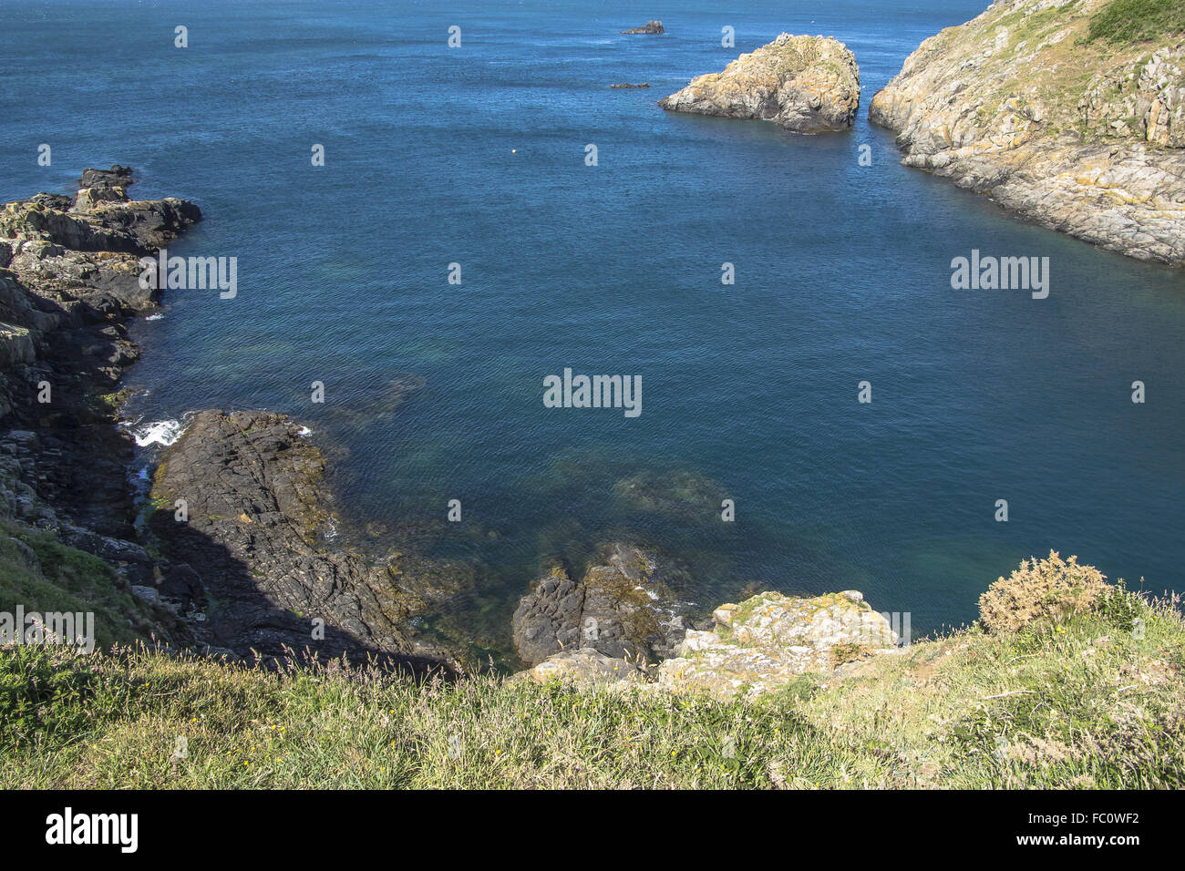 Voyage of venus hi-res stock photography and images - Alamy