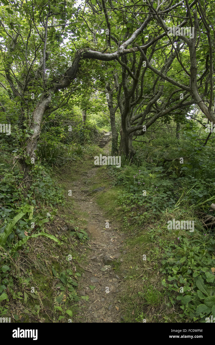 Window in the rock at sark hi-res stock photography and images - Alamy