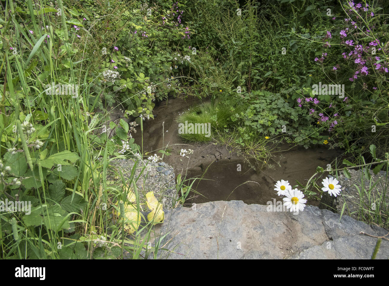 Window in the rock at sark hi-res stock photography and images - Alamy