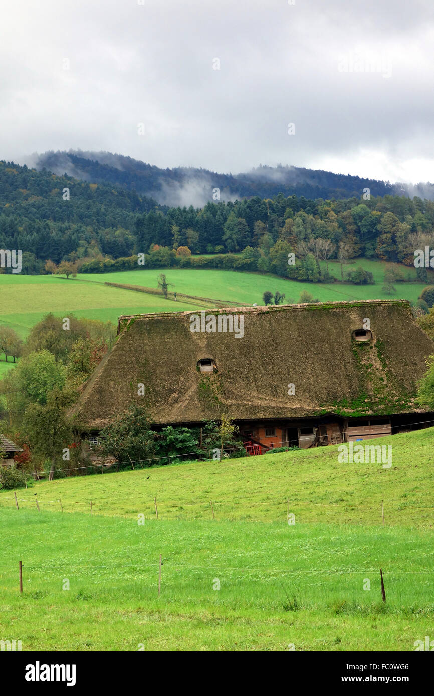black forest farm Stock Photo - Alamy