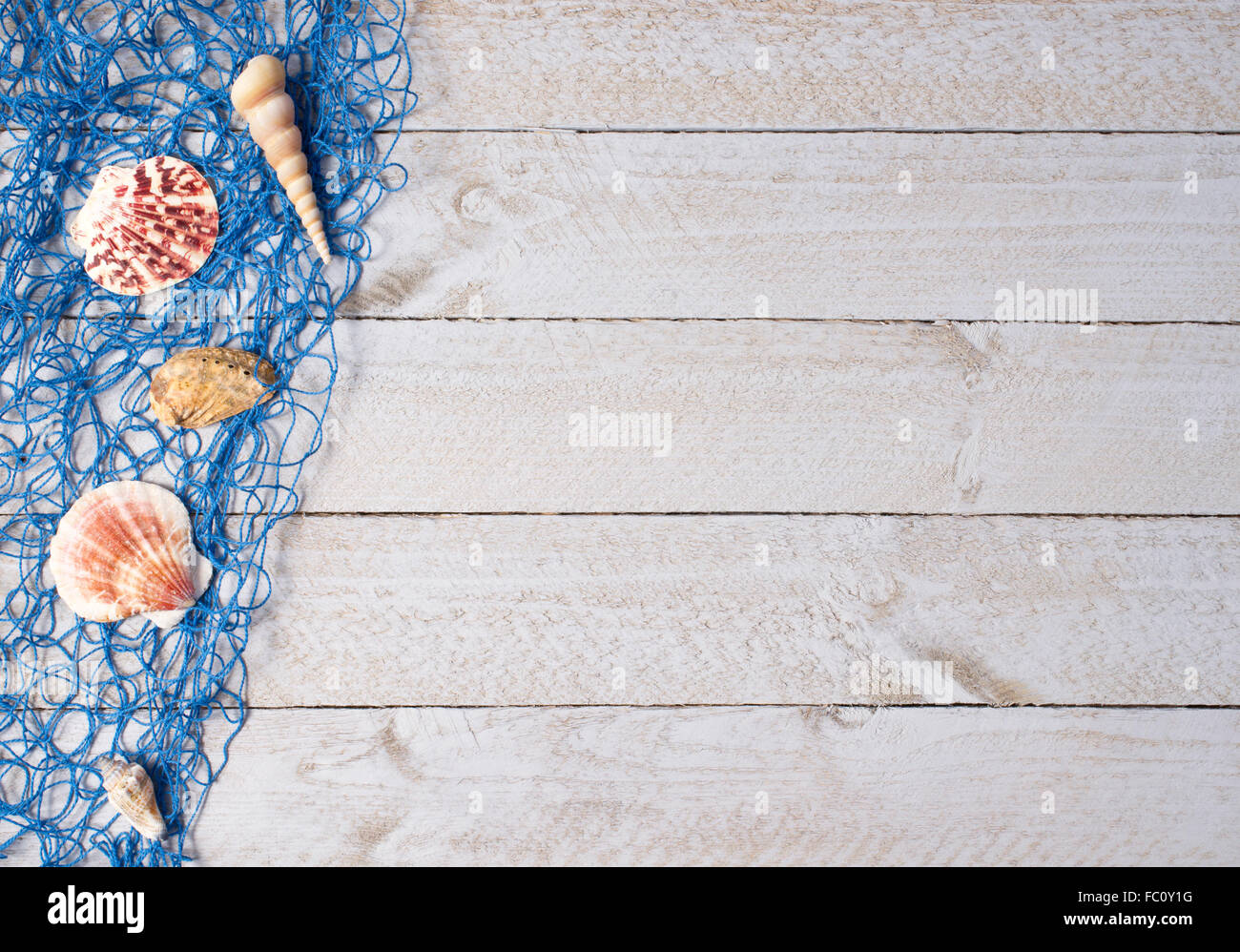 Fishing net sea shells hi-res stock photography and images - Alamy