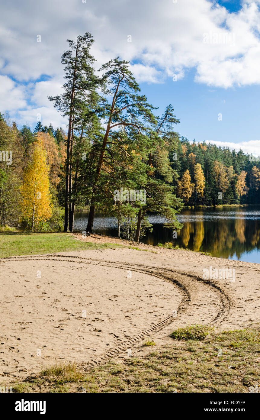 Beautiful forest lake hi-res stock photography and images - Alamy
