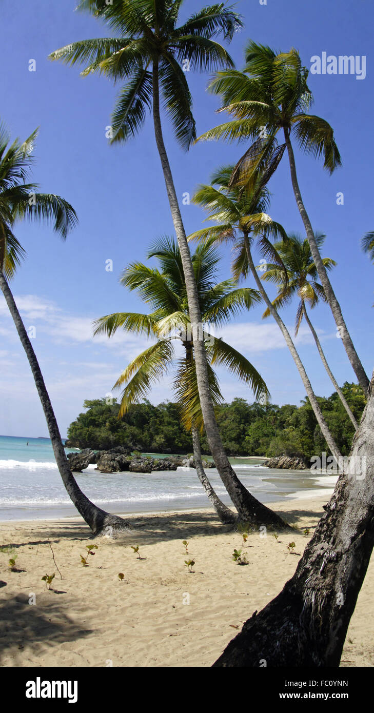 Caribbean paradise hi-res stock photography and images - Alamy