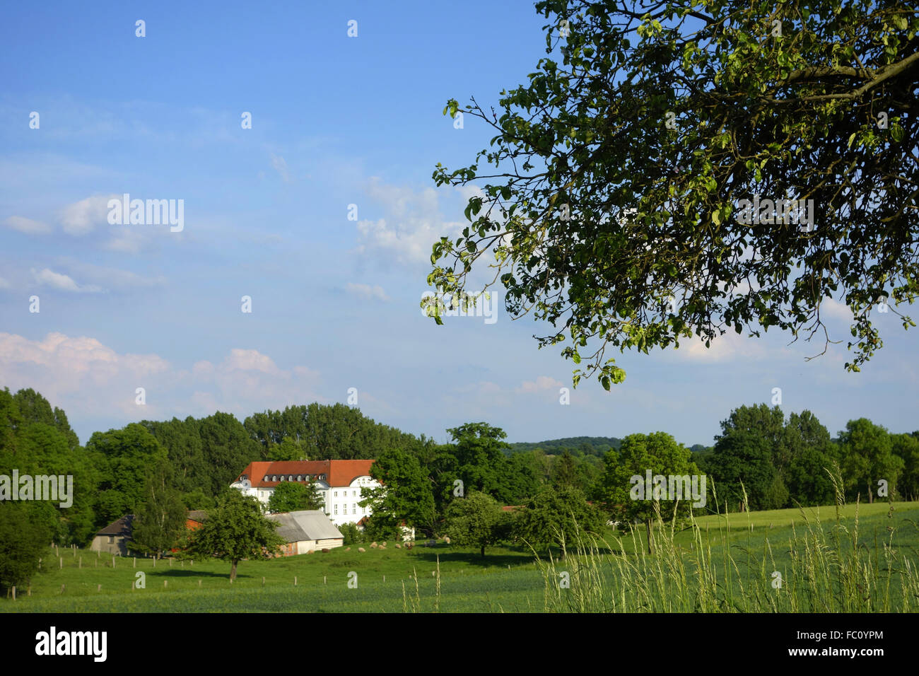 Wedendorfersee hi-res stock photography and images - Alamy