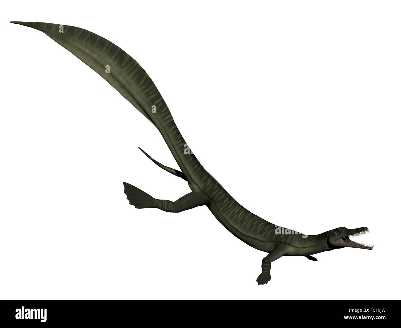 mesosaurus dinosaur - 3d render Stock Photo - Alamy