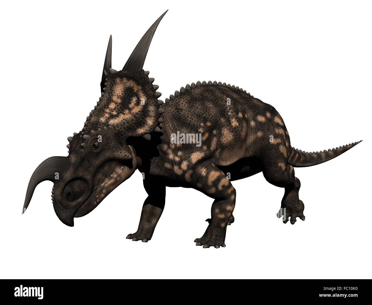 einiosaurus dinosaur - 3d render Stock Photo - Alamy