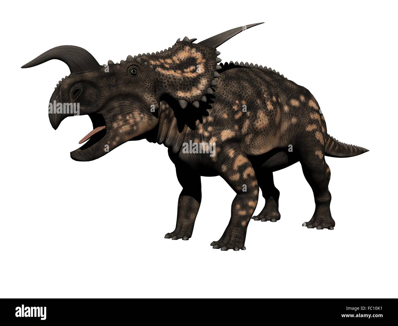 Einiosaurus High Resolution Stock Photography and Images - Alamy