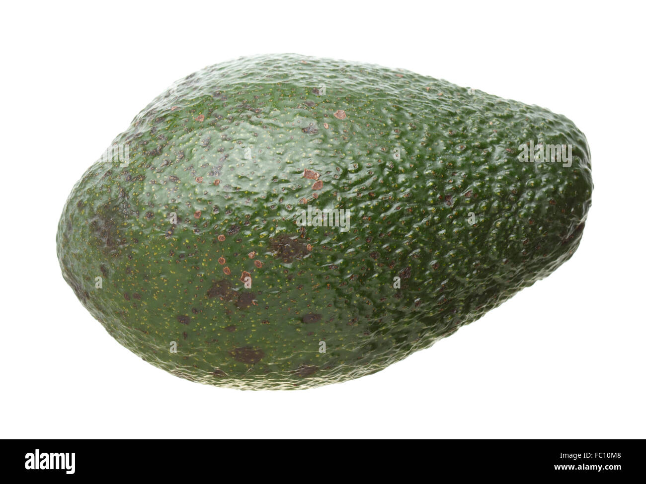 Aguacate persea americana hi-res stock photography and images - Alamy