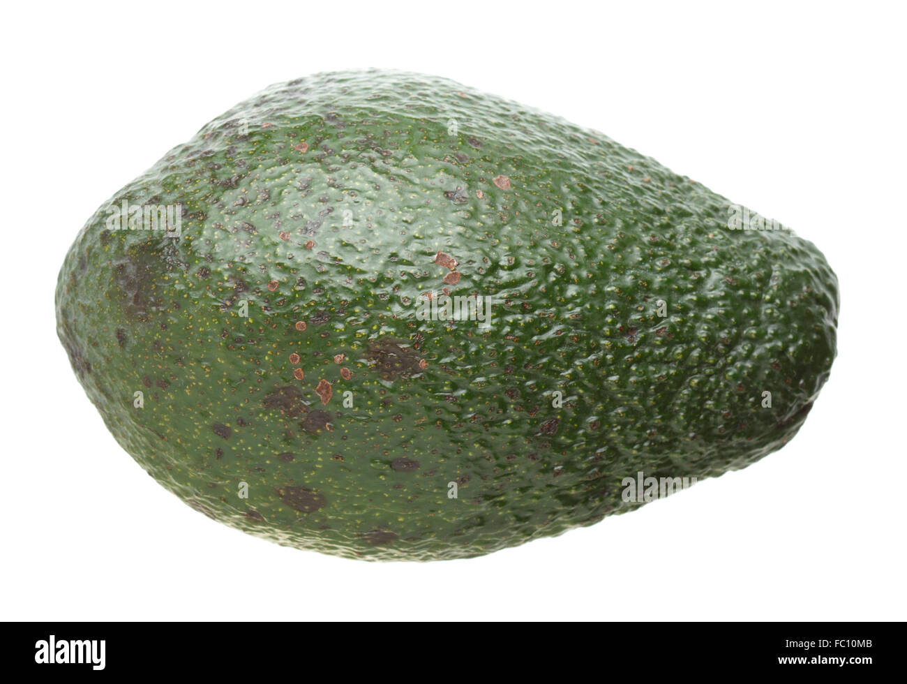 Fuerte avocado hi-res stock photography and images - Alamy