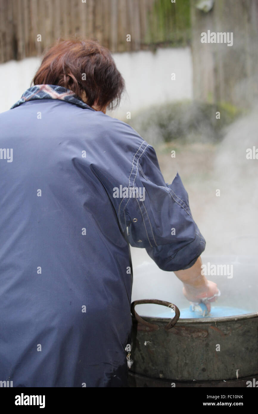 Pluck hi-res stock photography and images - Alamy