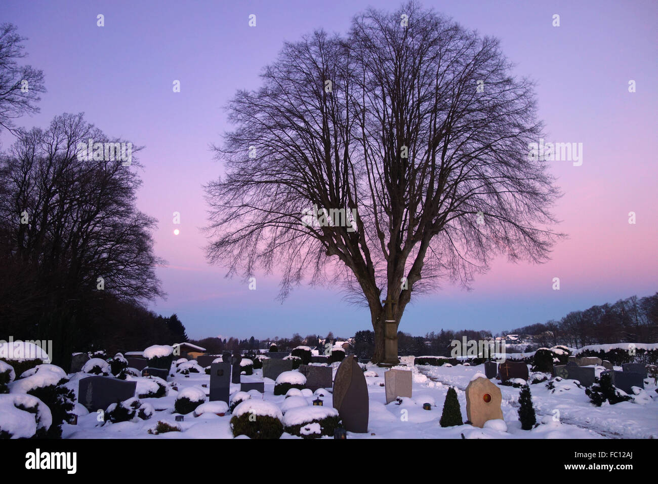 cemetery in wintermorning Stock Photo - Alamy