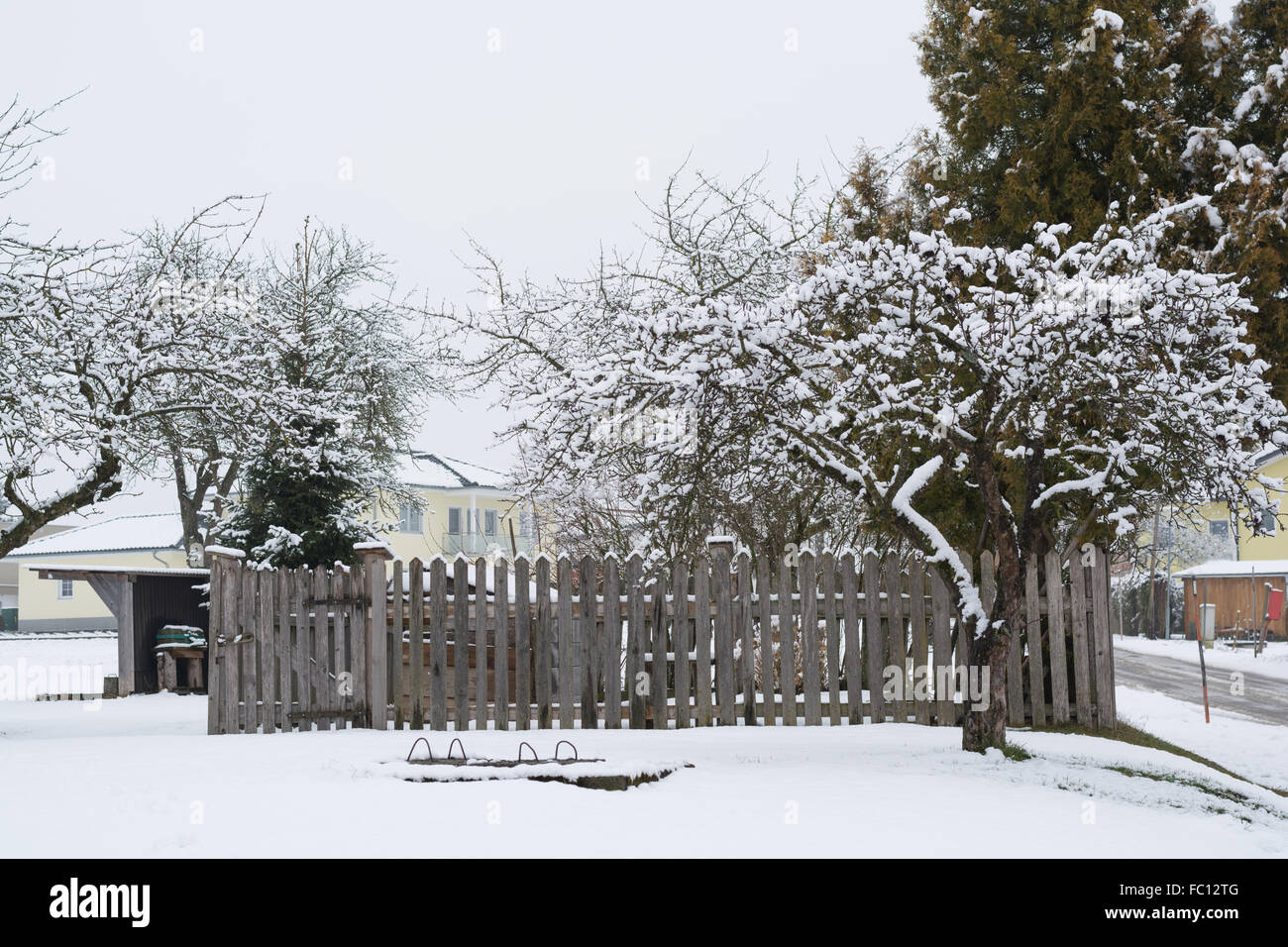 Apple tree winter hi-res stock photography and images - Alamy