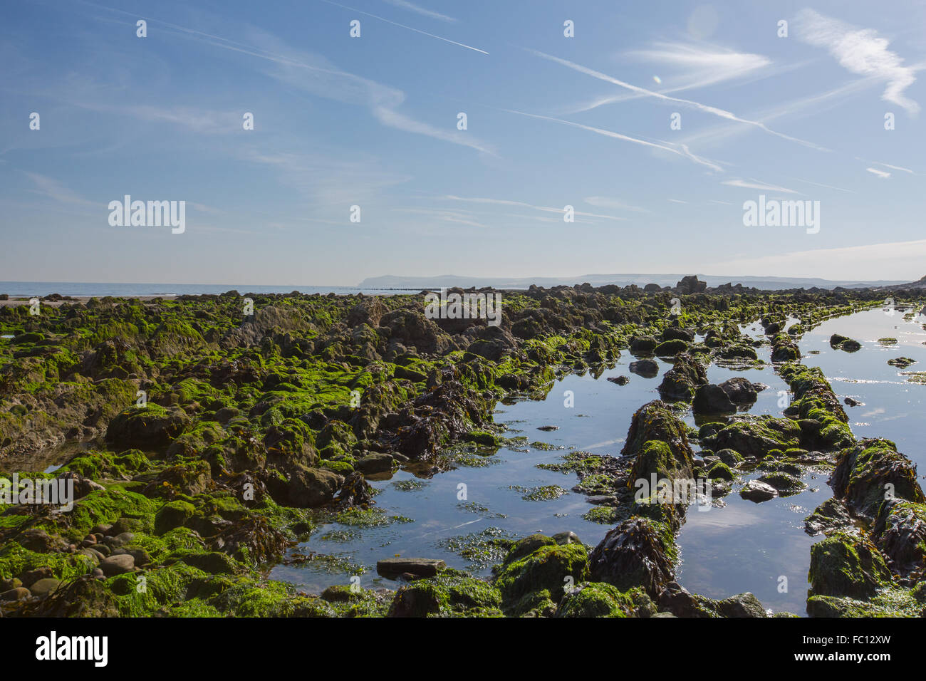 Dry ocean bed at france coast Stock Photo - Alamy