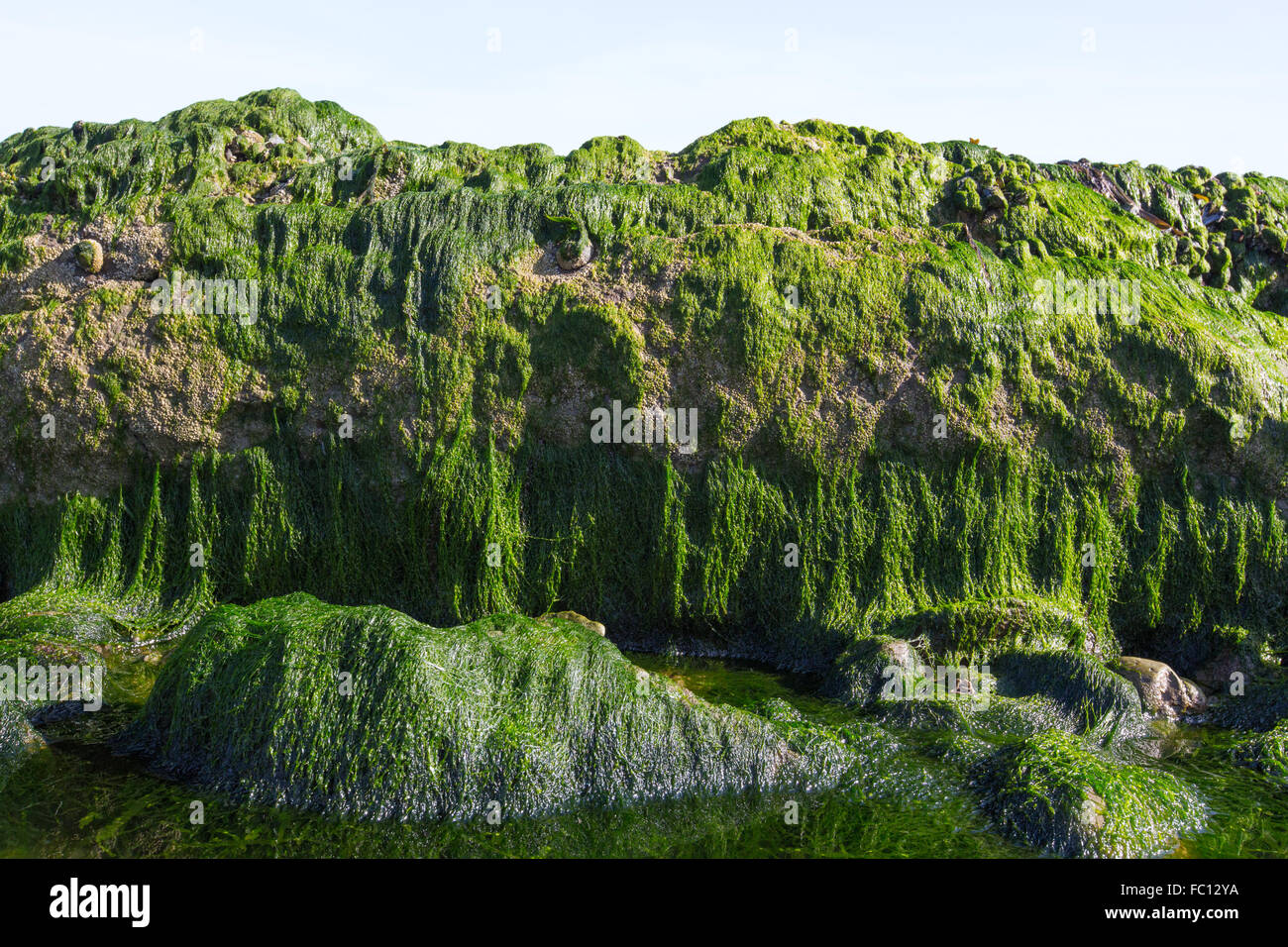 Ocean bed hi-res stock photography and images - Alamy