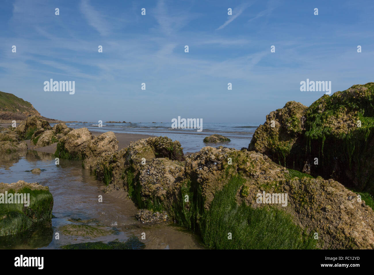 Dry ocean bed at france coast Stock Photo - Alamy