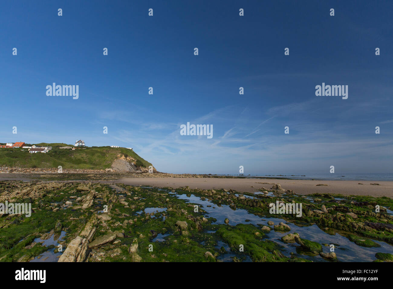 Dry ocean bed at france coast Stock Photo - Alamy