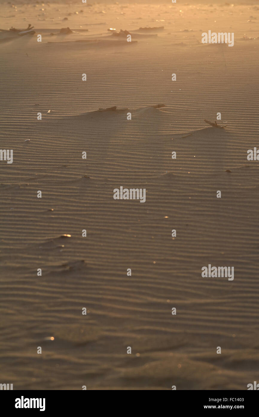 wind in sand Stock Photo - Alamy