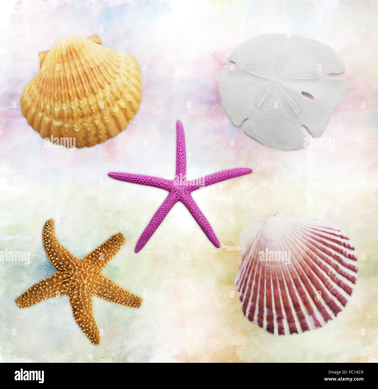 Painting with shells hi-res stock photography and images - Alamy