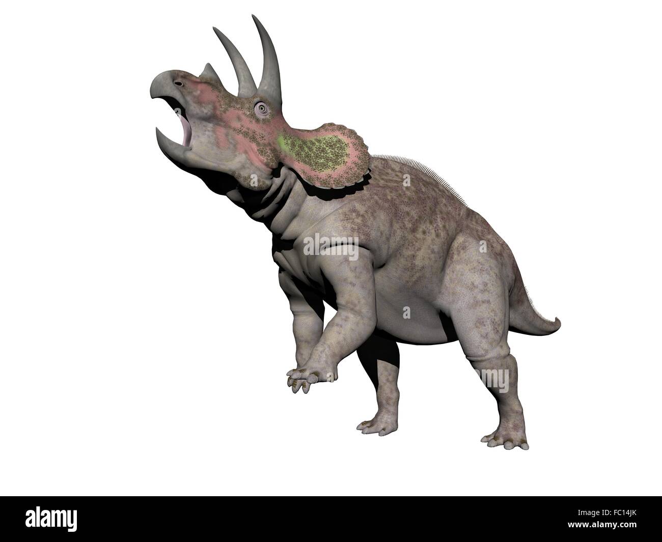 Triceratops dinosaur hi-res stock photography and images - Alamy