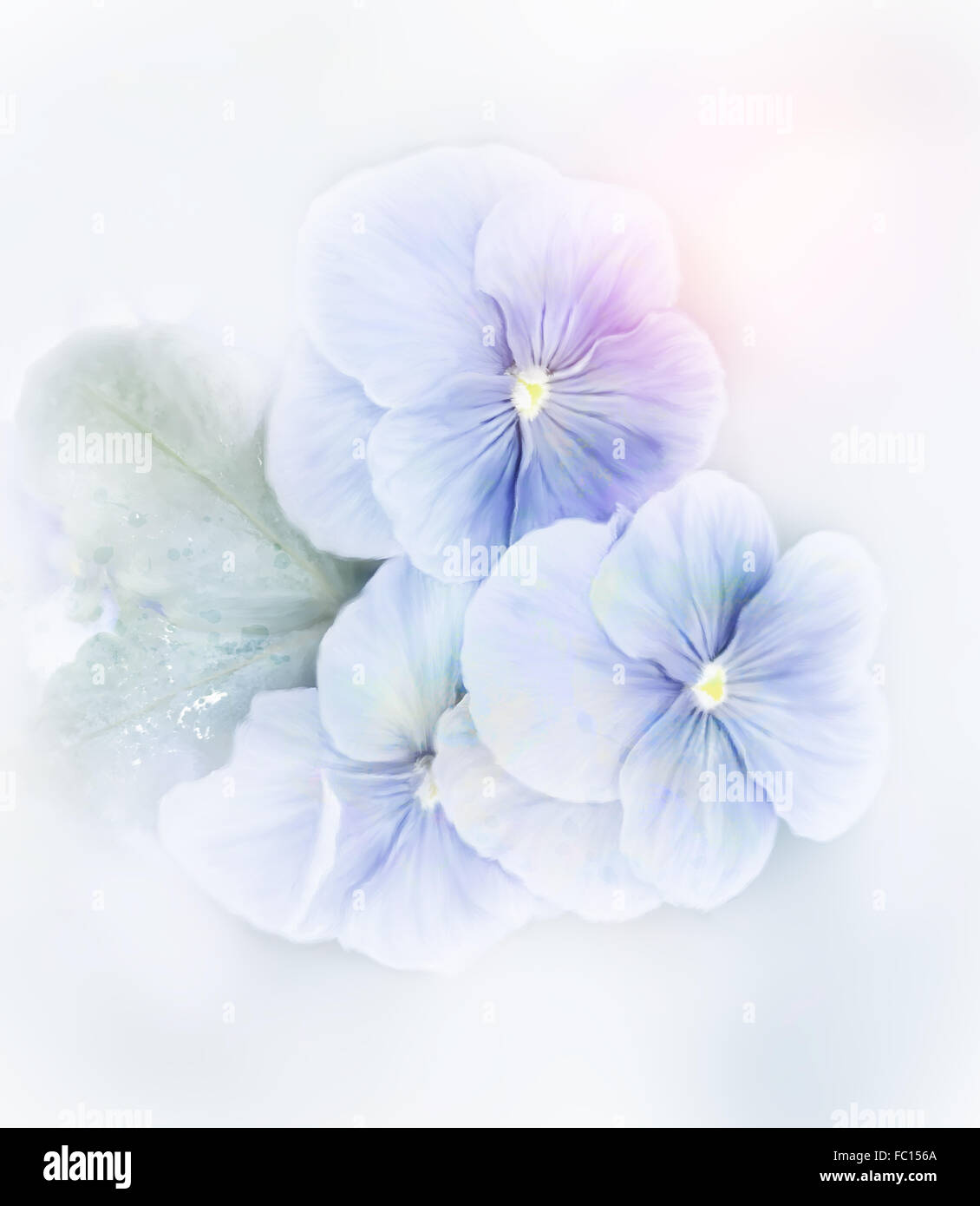Violets Flowers Watercolor Stock Photo - Alamy