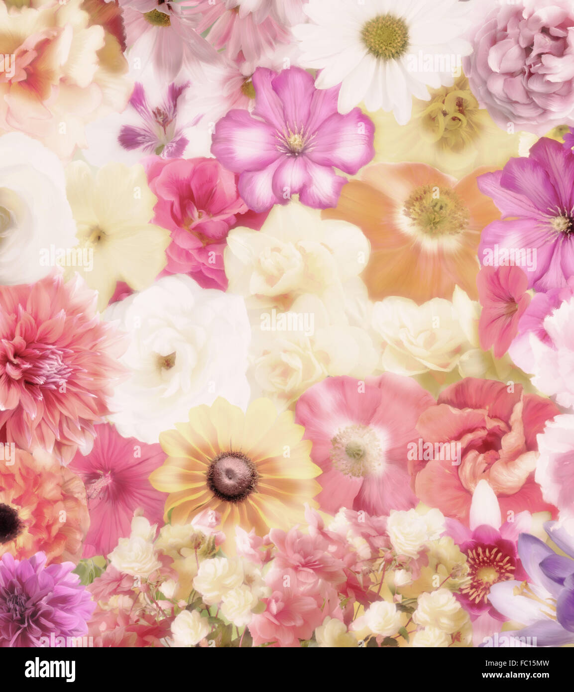 Colorful Floral Background Stock Photo - Alamy