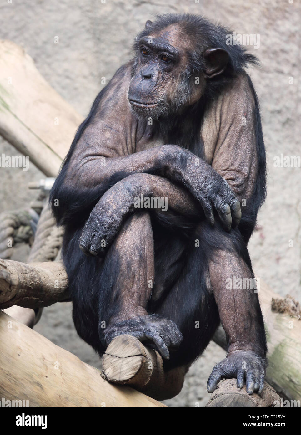 Cool spielen hi-res stock photography and images - Alamy