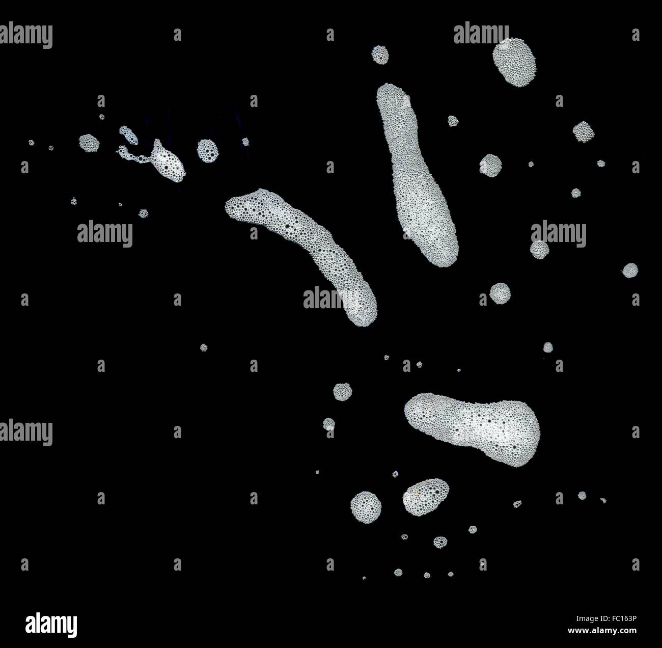 white lather flakes Stock Photo - Alamy