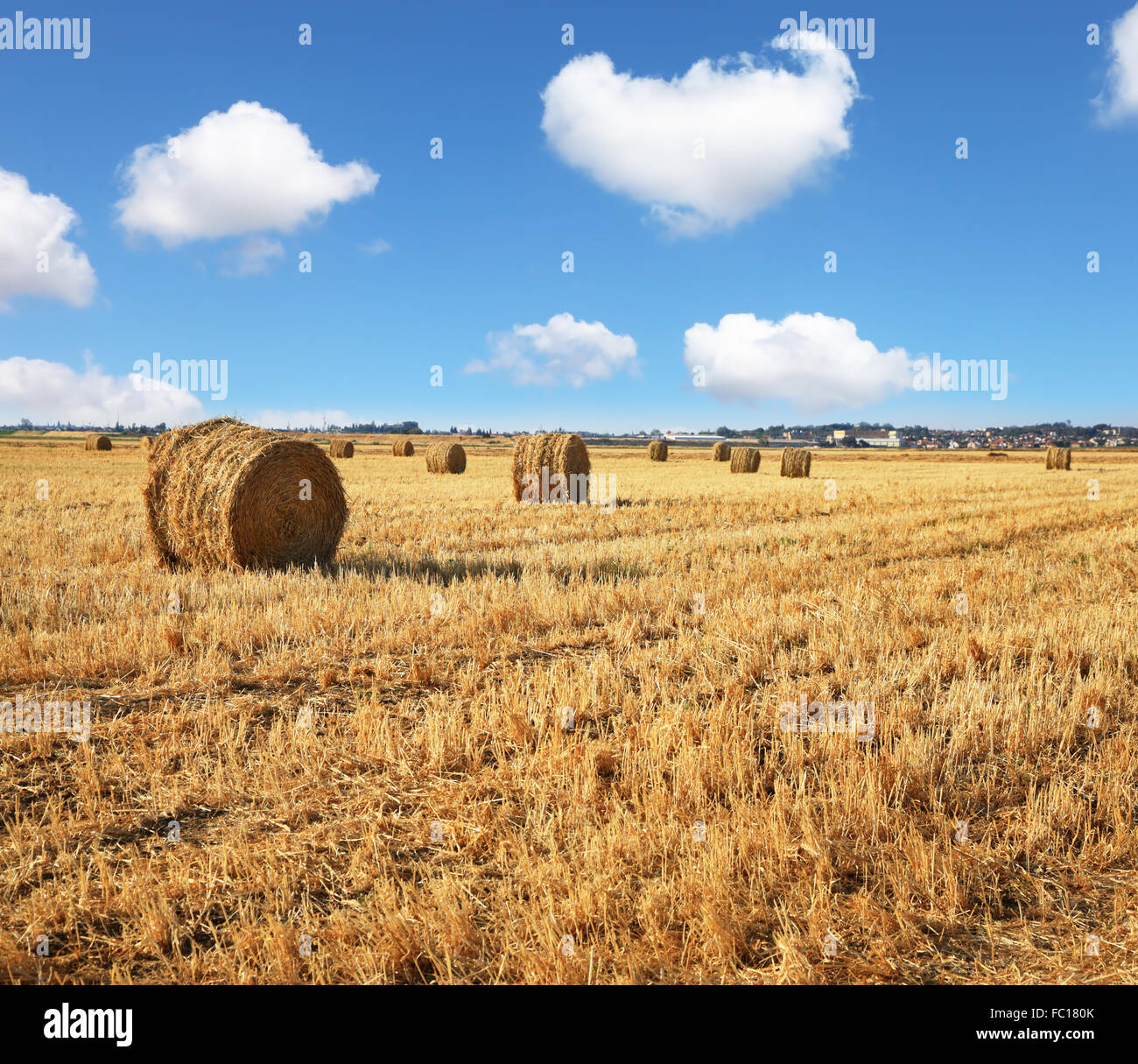 Summer wheat field after harvest hi-res stock photography and images - Alamy