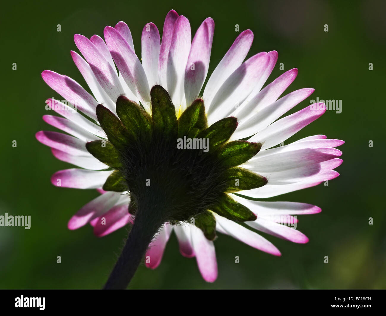 H angle view hi-res stock photography and images - Alamy
