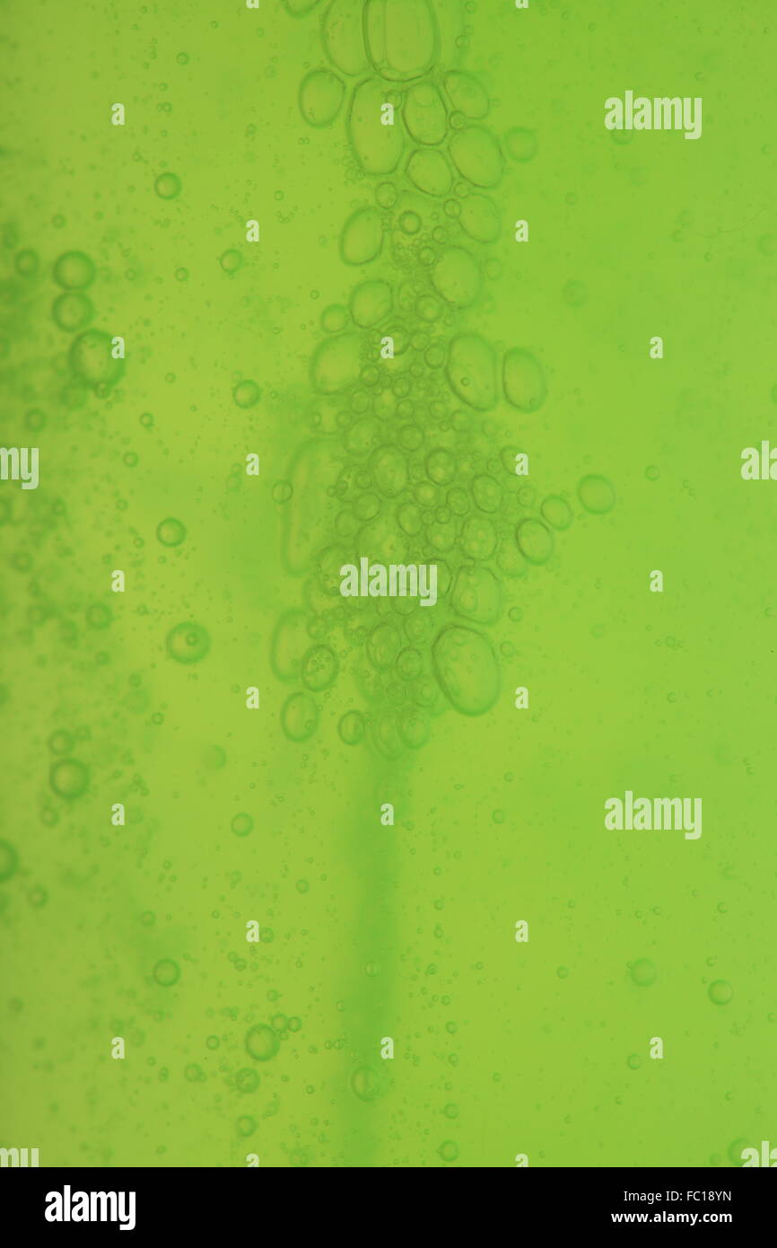 soap bubbles green liquid background Stock Photo - Alamy