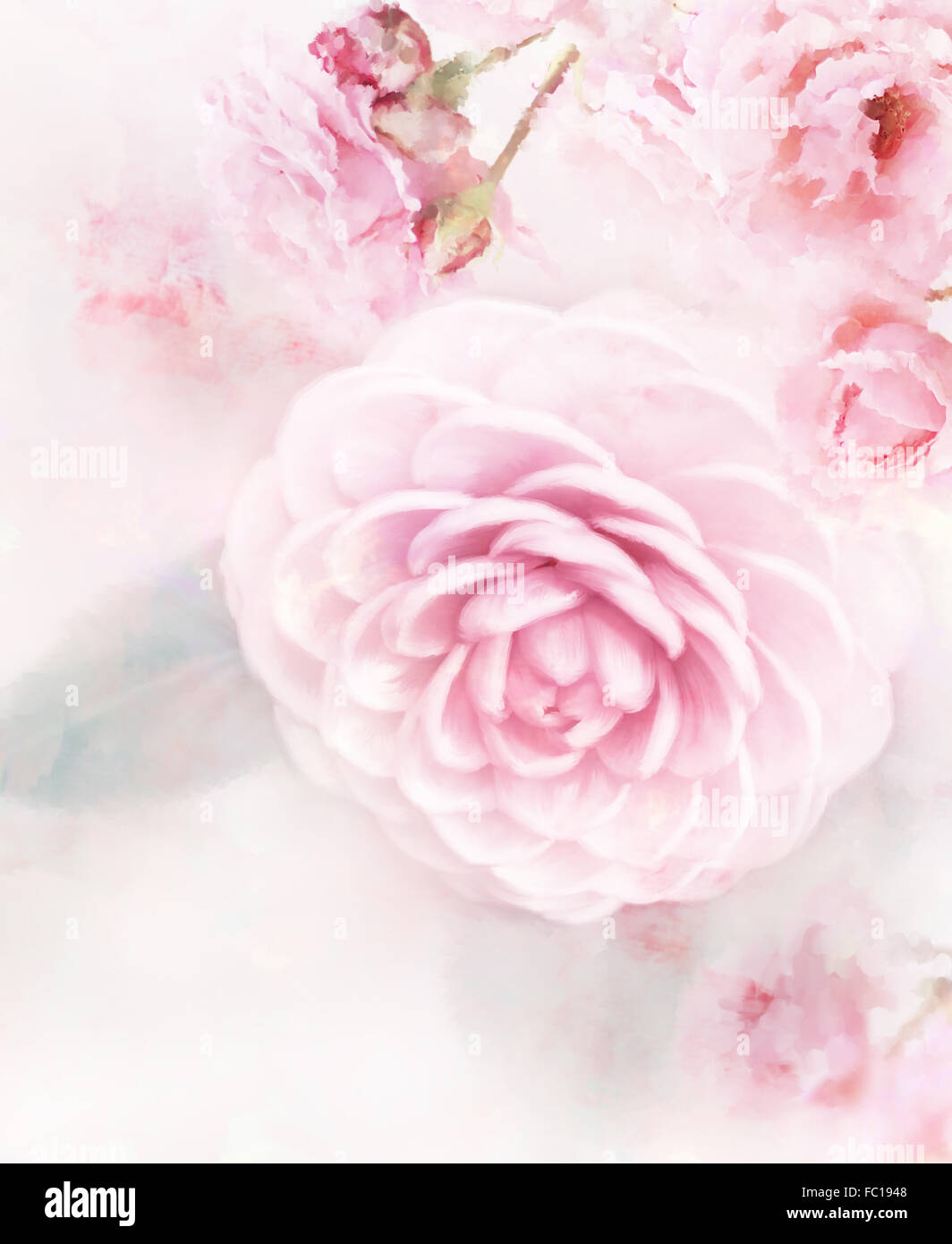 Pink Roses Watercolor Stock Photo - Alamy