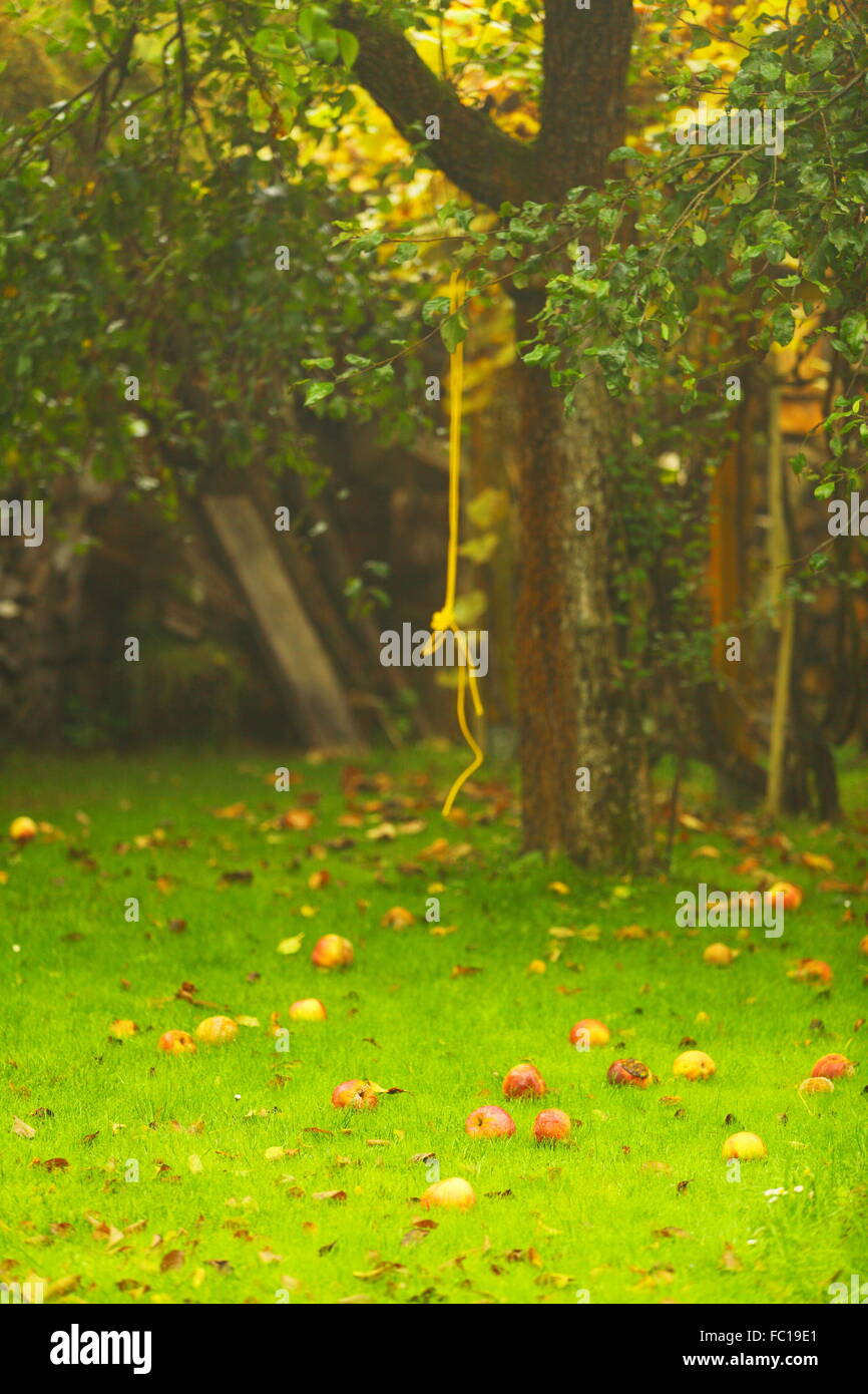 Apple ground hi-res stock photography and images - Alamy