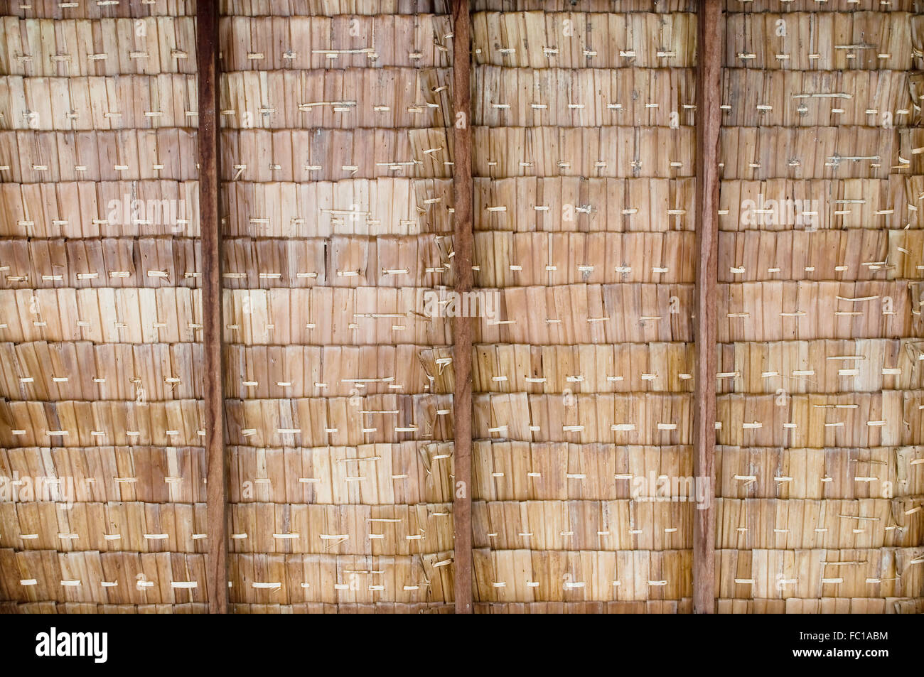 Nipa hi-res stock photography and images - Alamy