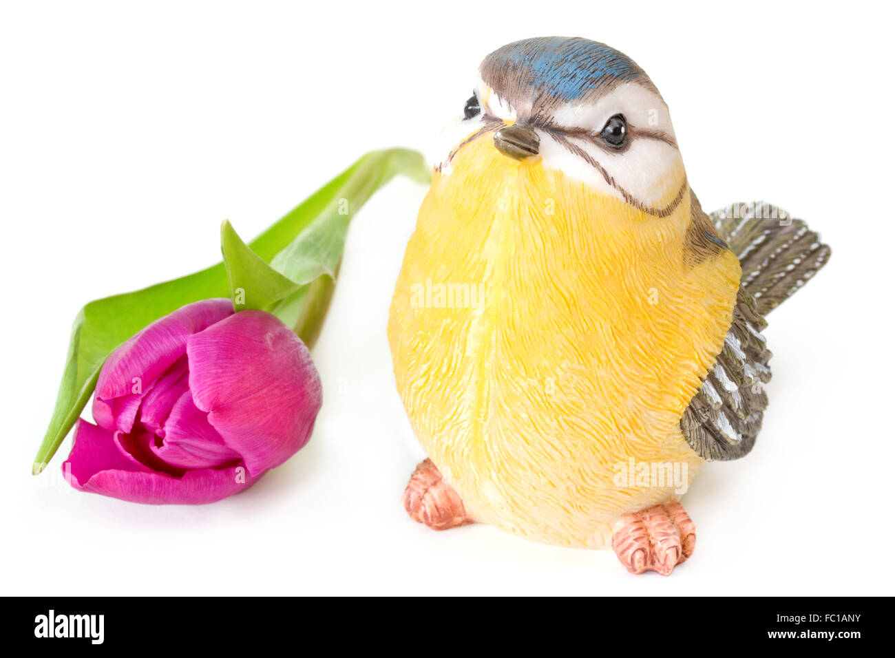 Bird f Cut Out Stock Images & Pictures - Alamy