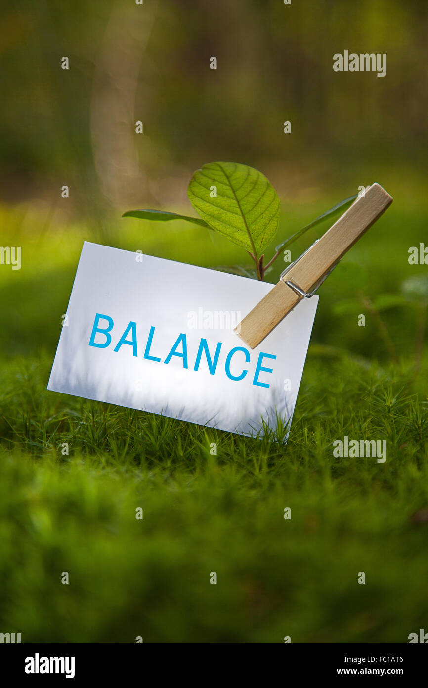 The word „Balance“ with a seedling Stock Photo - Alamy