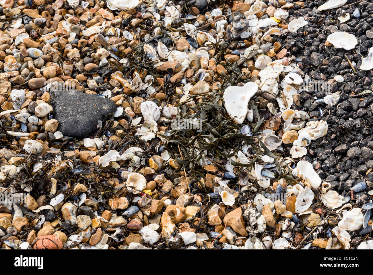 Strandline hi-res stock photography and images - Alamy