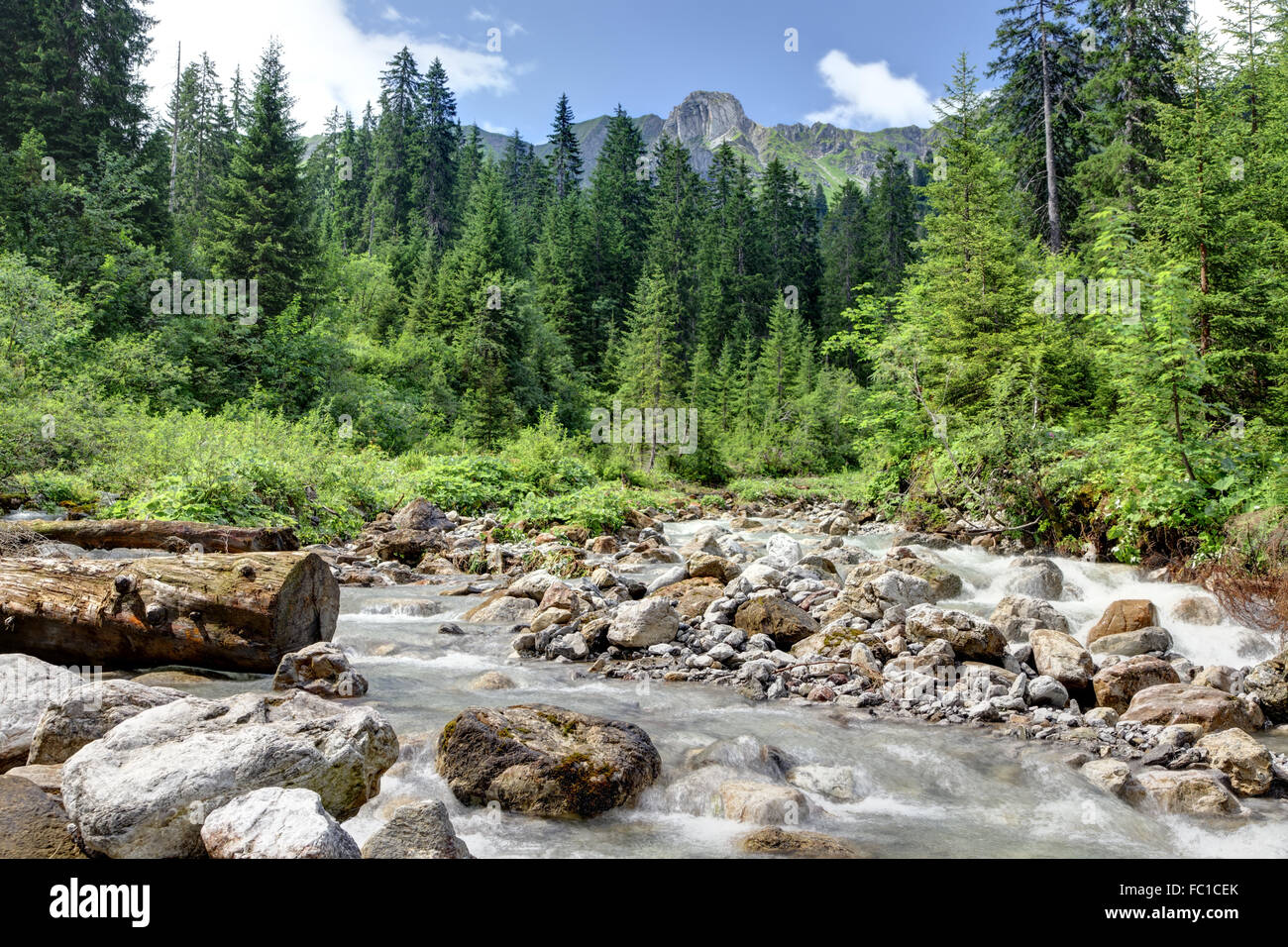 Stream in the forest Stock Photo - Alamy
