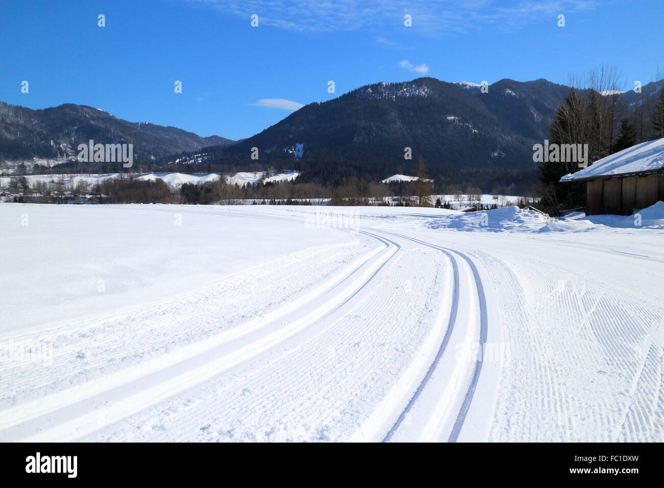 Skating and nordic track hi-res stock photography and images - Alamy