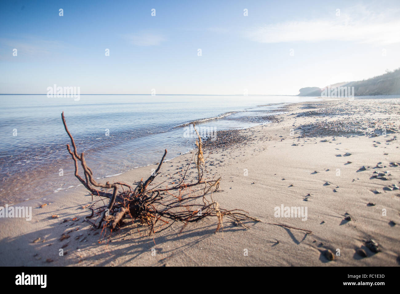 baltic beach germany Stock Photo - Alamy