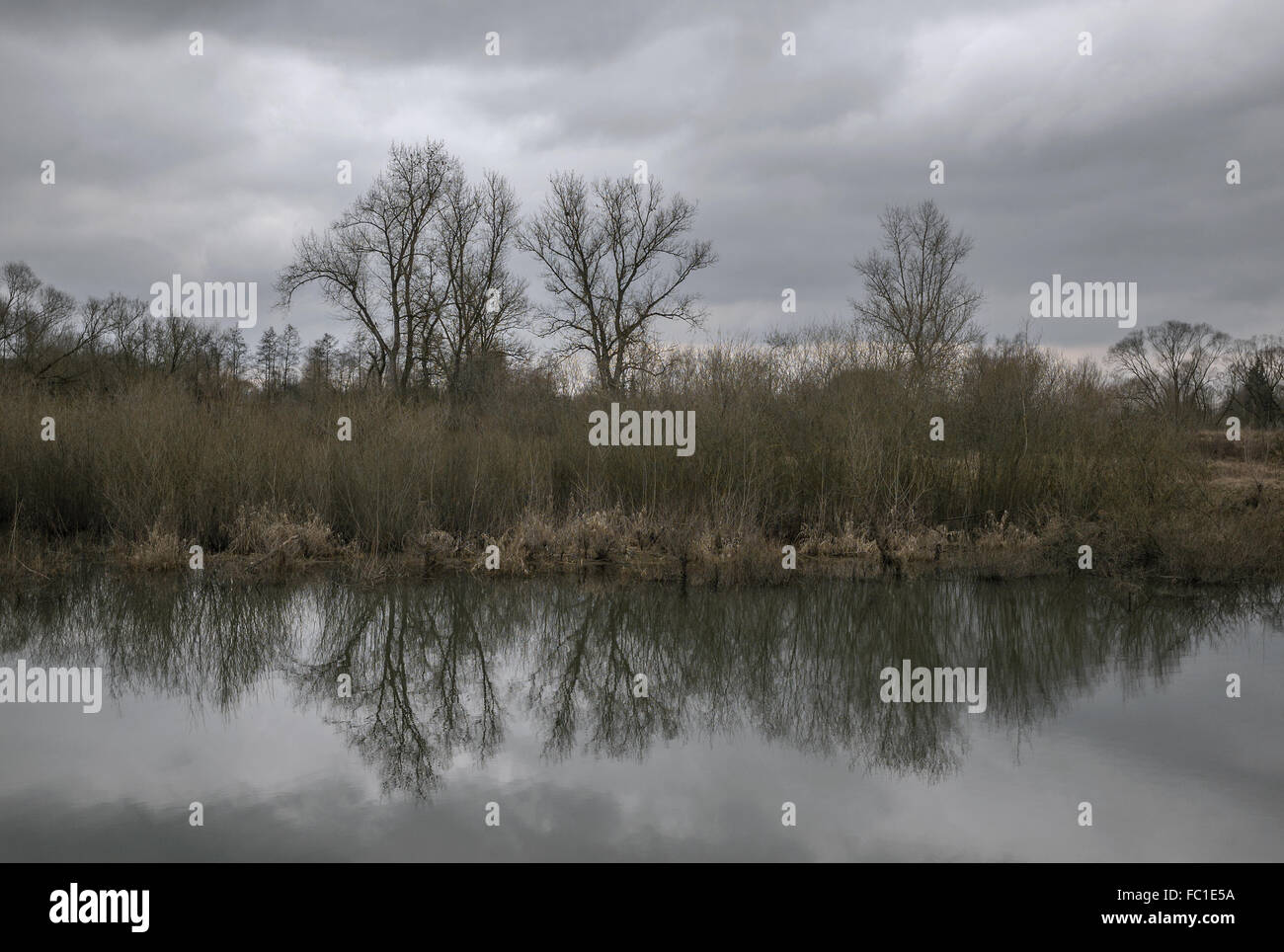 Meadow scenery at the Main Stock Photo - Alamy